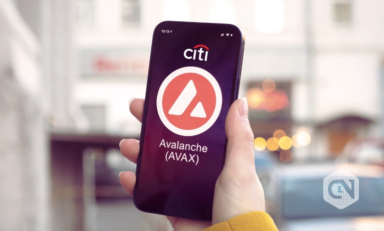 AvaCloud helps Citi test a unique application AvaCloud helps Citi test a unique application