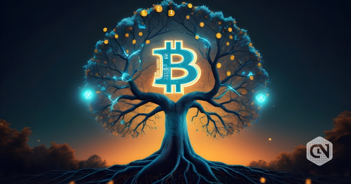 What is Bitcoin & How it Works? | Bitcoin Basics