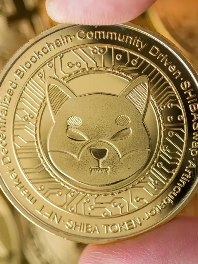 Shiba Inu Price Soars on Whale Activity - CryptoNewsZ